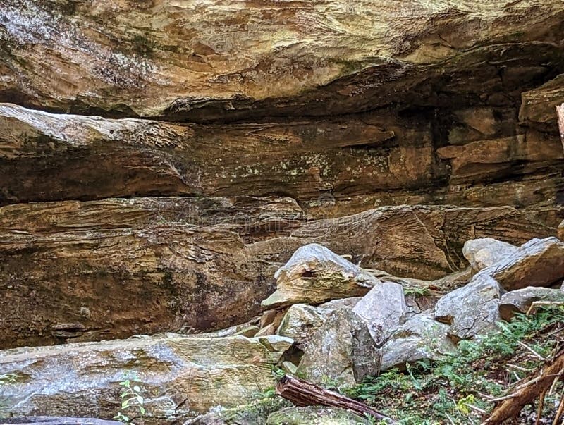 Hidden duck head in stone stock image. Image of water - 281102163