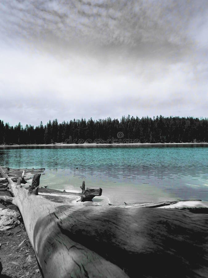 Hidden Emerald Pool stock image. Image of trees, national - 56917501