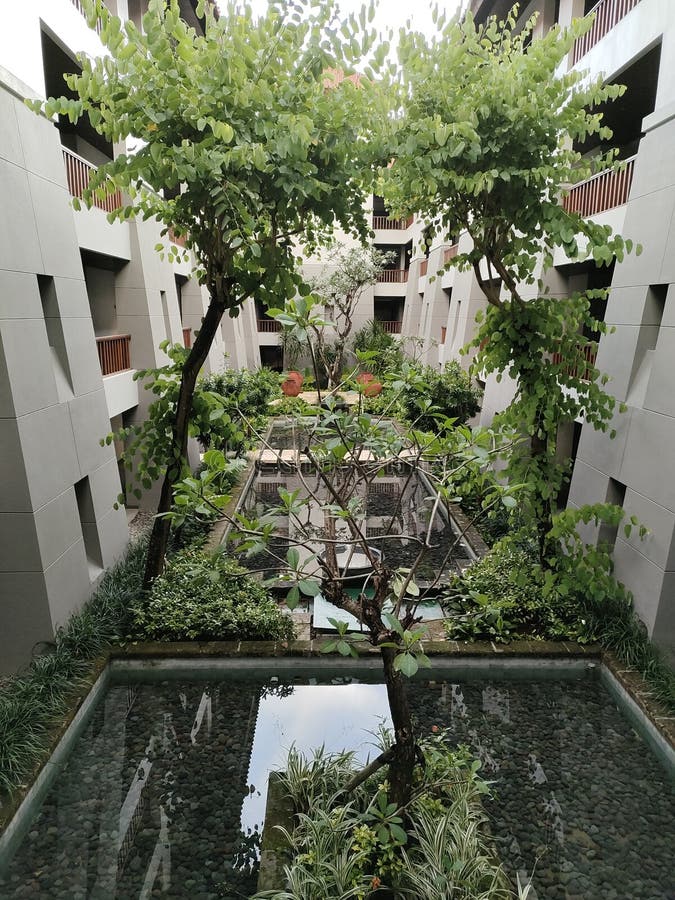 Hidden Forest in Hotel Area Stock Image - Image of forest, floor: 266354755