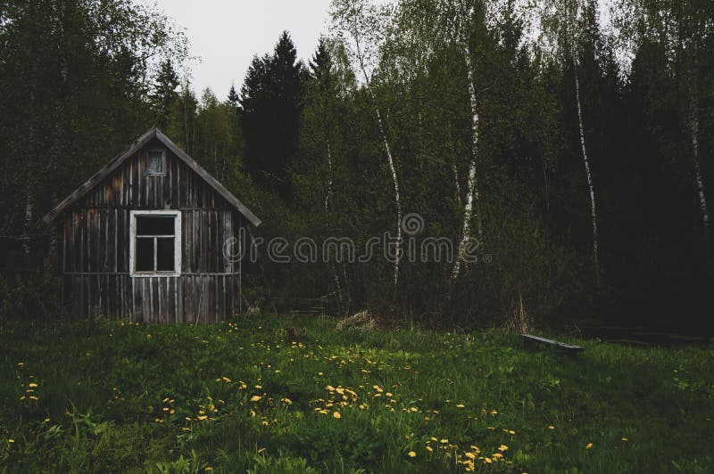 Hidden in the forest stock photo. Image of rural, tree - 183676938