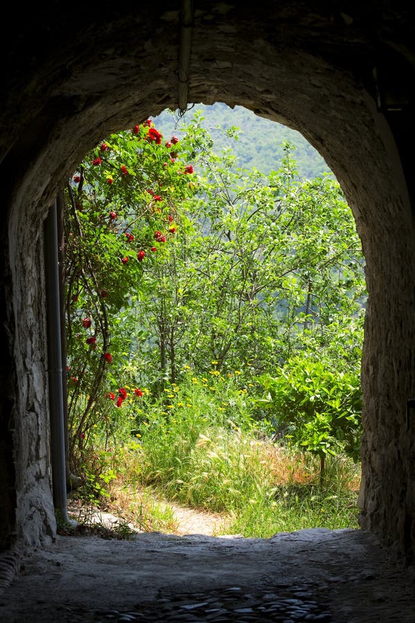 90+ Hidden garden Free Stock Photos - StockFreeImages