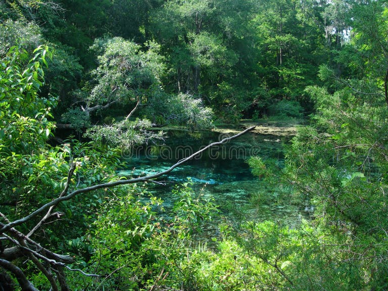 6,386 Gem City Grappling Stock Photos - Free & Royalty-Free Stock ...