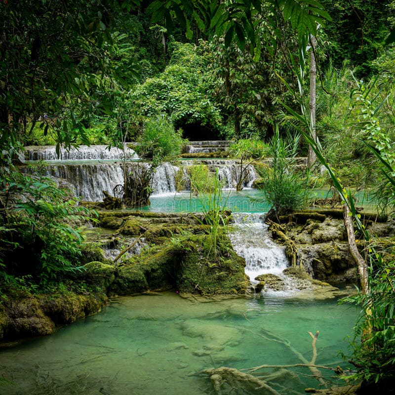 Hidden Gem in the Jungle of Laos Stock Photo - Image of jungle, laos ...