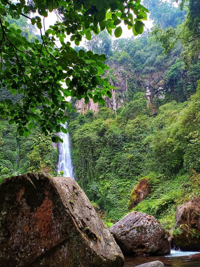 A Hidden Gem Nestled Deep within a Tropical Rainforest Stock Photo ...