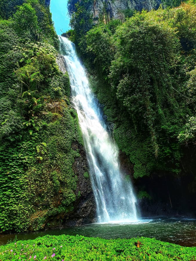 A Hidden Gem Nestled Deep within a Tropical Rainforest Stock Image ...