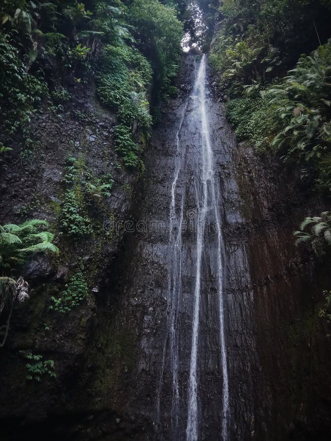 Hidden Gem Small Waterfall Inside Jungle Stock Image - Image of small ...