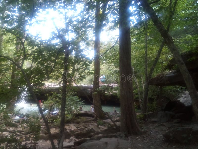 Hidden Gems Beautiful Secrets Stock Photo - Image of garden, secrets ...