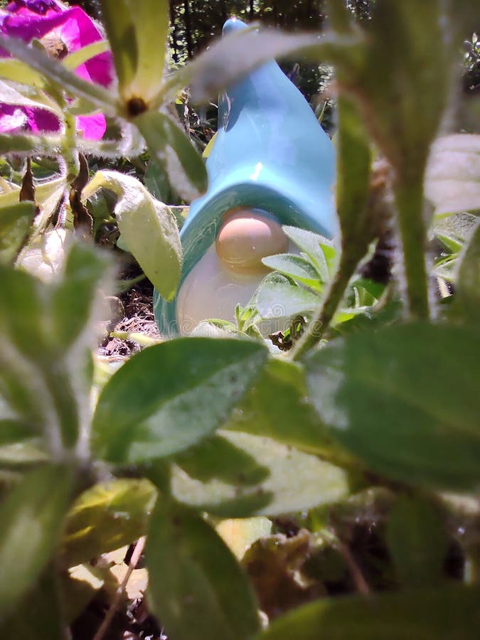 Hidden Gnome Garden stock photo. Image of gnome, animal - 255611518