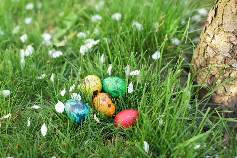 Five Hidden in the Grass Easter Eggs, Which are Painted in Different ...