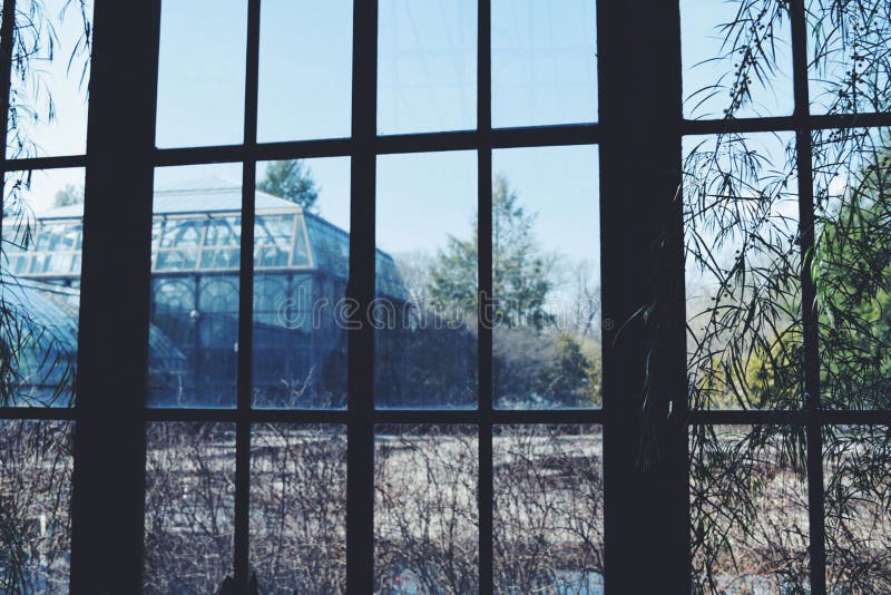 Hidden Greenhouse editorial stock image. Image of doors - 54807889