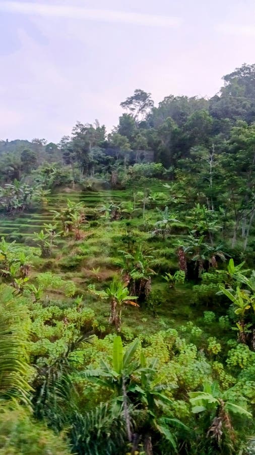 Hidden gutter terrace stock image. Image of gutter, siring - 331621211