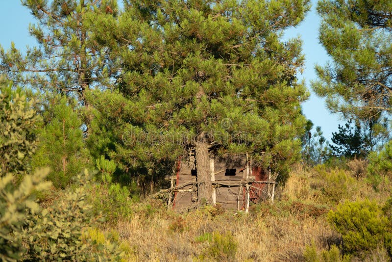 Hidden Hut for Big Game Hunting, Camouflage Stock Photo - Image of ...