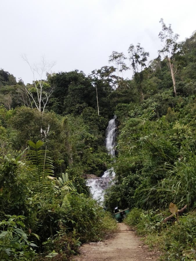 Jungle Waterfall Cascade in Tropical Rainforest with Rock and Turquoise ...