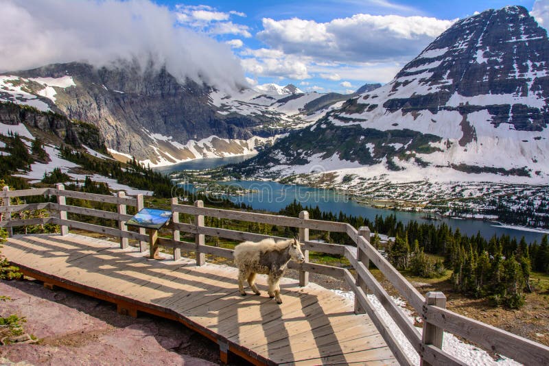 Hidden Lake â€“ Glacier National Park, Montana USA Stock Photo - Image ...