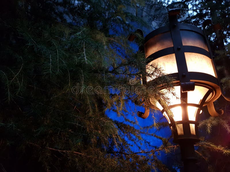 Hidden lamp editorial image. Image of studio, tree, park - 108865835