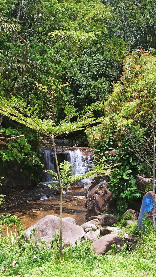 Mini Spy Hidden Camera Concept Stock Photo - Image of criminal ...