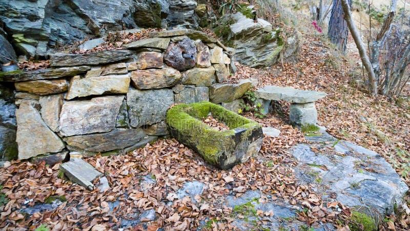 Hidden Natural Water Spring Deep in the Forest Stock Photo - Image of ...