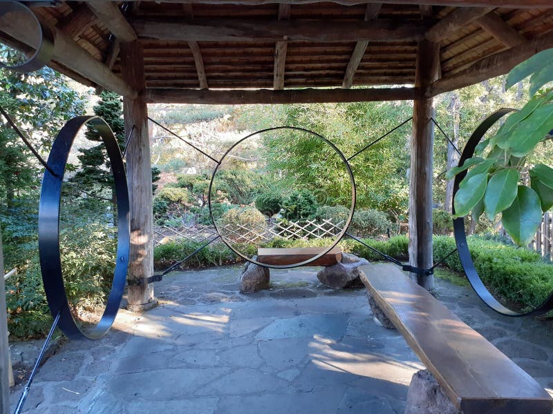 A Hidden Oasis Reflecting the Surreal Beauty of the Northern Lights ...