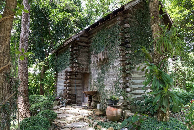 Hidden Old House Covered by Ivy and Surrounded by Trees Stock Photo ...