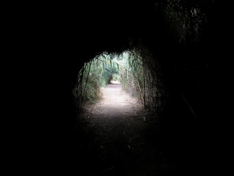 Hidden Path stock image. Image of bush, trees, grey - 111235503