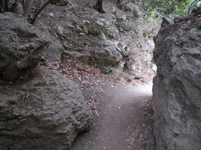 Hidden Path stock photo. Image of bush, green, trees - 111235730