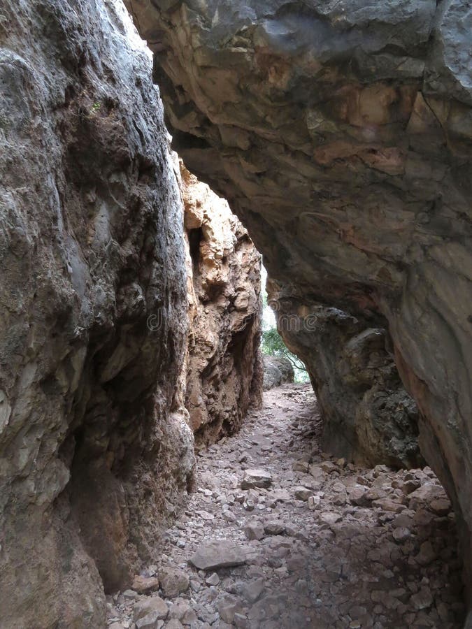 Hidden Path stock photo. Image of hidden, forest, path - 11361998