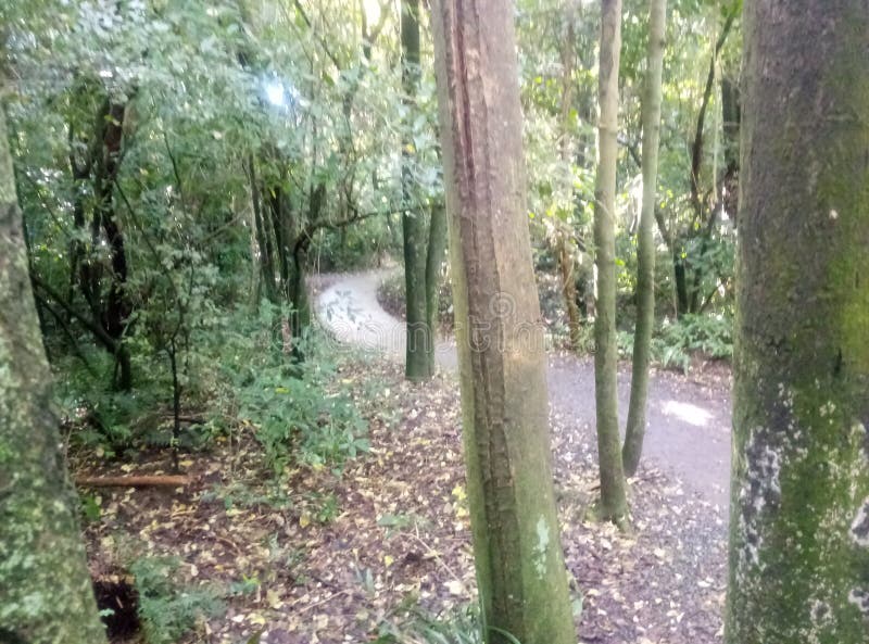 Hidden path stock photo. Image of pedestrian, hidden - 96791398