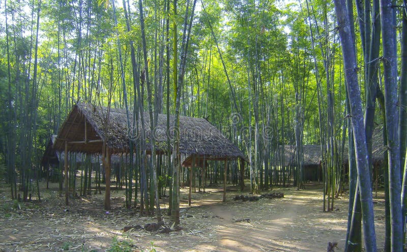 A Hidden Place in the Jungle in Vietnam Stock Photo - Image of outdoor ...