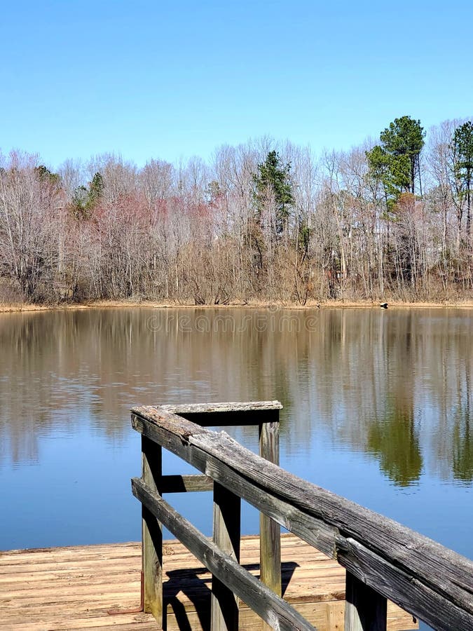 Hidden Ponds and Plenty of Fish Stock Photo - Image of morning, shore ...