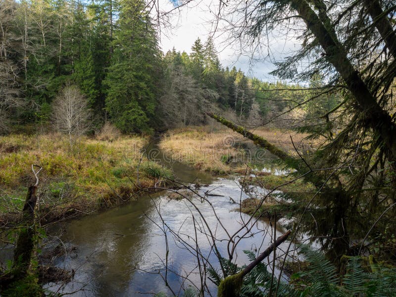 Hidden River stock image. Image of river, garden, landscape - 91526331