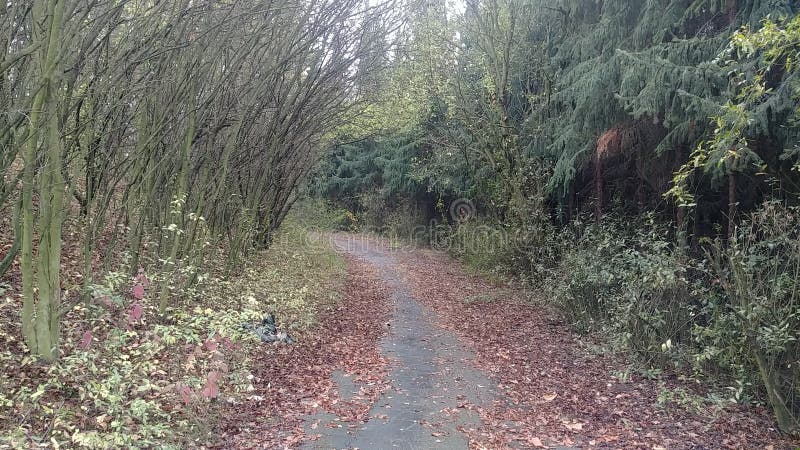 A Hidden Road in the Picturesque Green Hills, a Good Option for a ...
