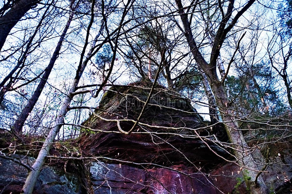 The hidden rock stock photo. Image of rock, winter, blossom - 178613022