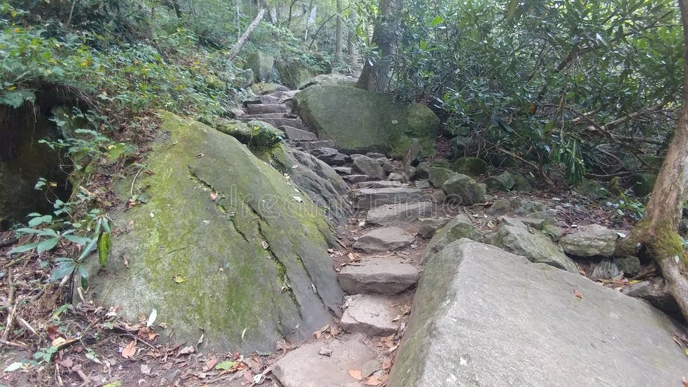 Hidden rock step path stock photo. Image of trail, step - 125771002
