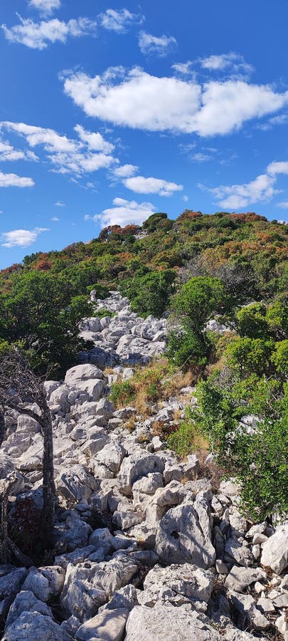 Hidden Rocky trail stock photo. Image of wilderness - 261448868
