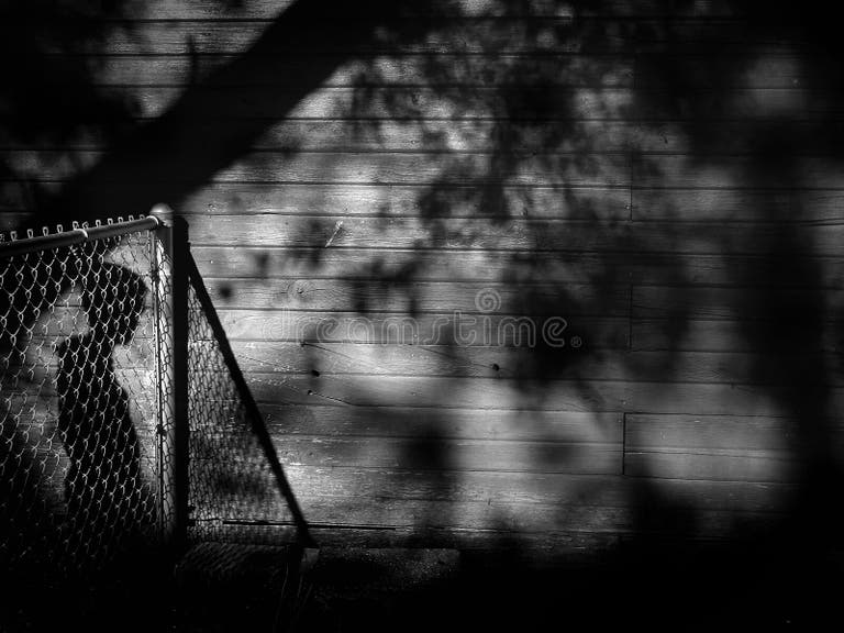 2,209 Human Shadow Ground Stock Photos - Free & Royalty-Free Stock ...