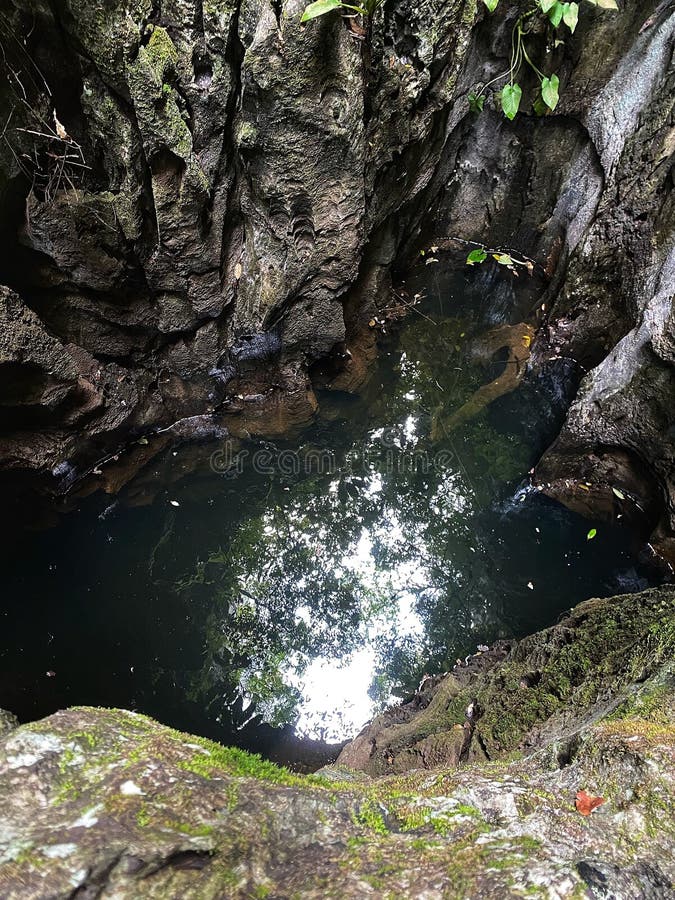 Hidden small natural pond. stock photo. Image of cave - 387630332