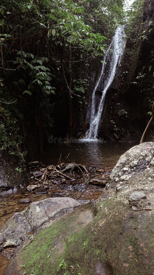 Hidden small waterfall stock image. Image of nature - 205237245