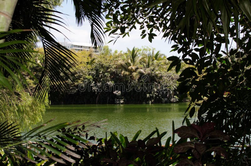 Hidden spot stock image. Image of tropical, spot, hidden - 147144115