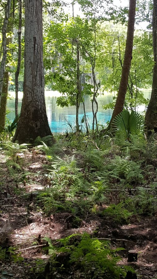 Hidden spring stock photo. Image of hidden, spring, walk - 76140030