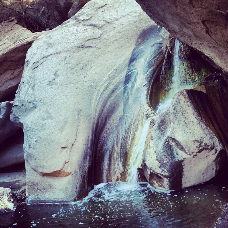 Hidden Stream stock photo. Image of scenic, peaceful - 43408278