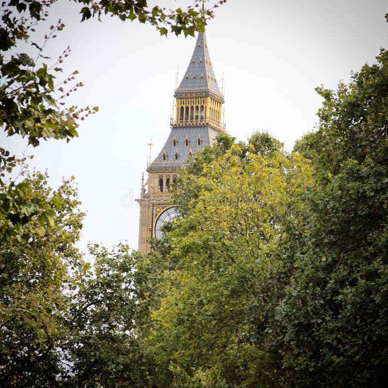 Hidden tower stock image. Image of hide, spires, wilderness - 23602055