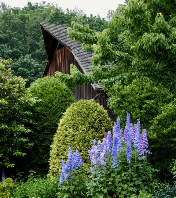 Hidden in the tres stock photo. Image of calm, purple - 301976178