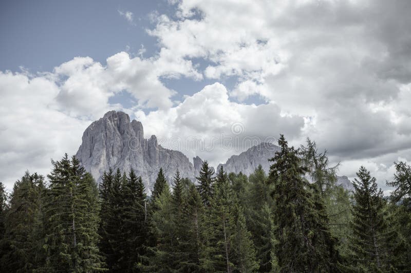 Hidden View on Sasso Lungo Group from an Alpine Forest in Dolomites ...