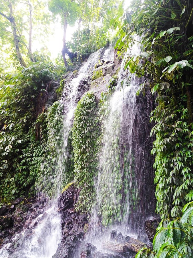 Hidden waterfall in Bali stock image. Image of waterfall - 179927989