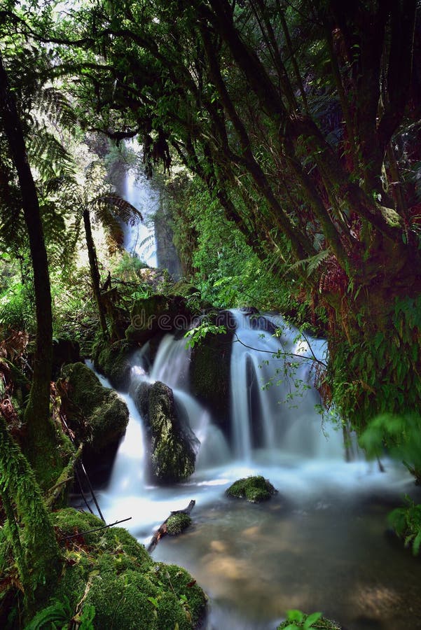 Hidden Waterfall Deep in a Lost Valley Stock Image - Image of forest ...