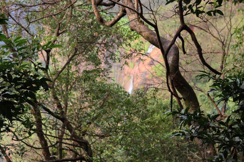 A Hidden Waterfall Peeks through the Dense Forest Foliage in Matheran ...