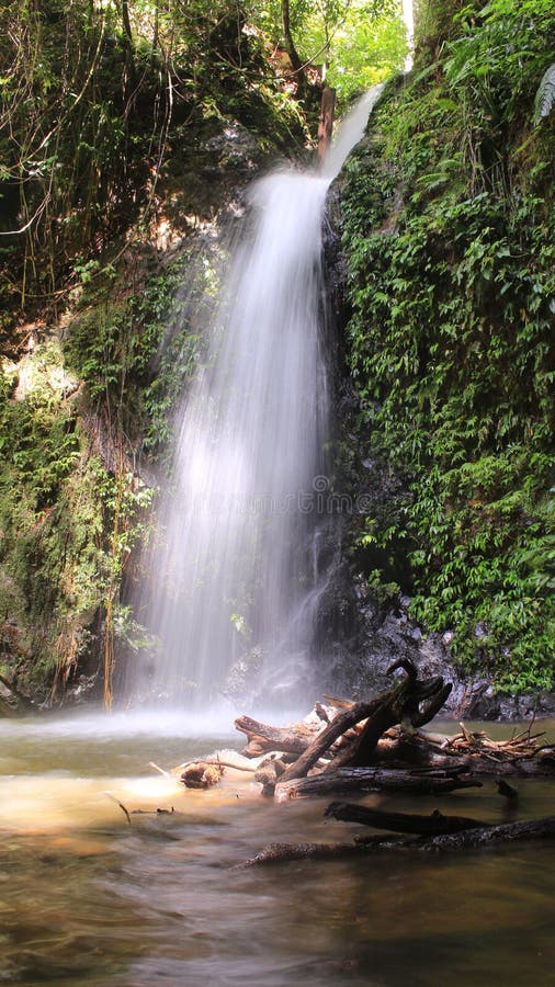 439 Simpang Stock Photos - Free & Royalty-Free Stock Photos from Dreamstime