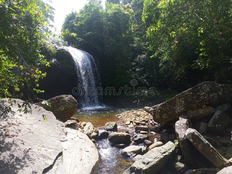 Hidden Waterfall in Srilanka Stock Photo - Image of creek, trail: 278045280