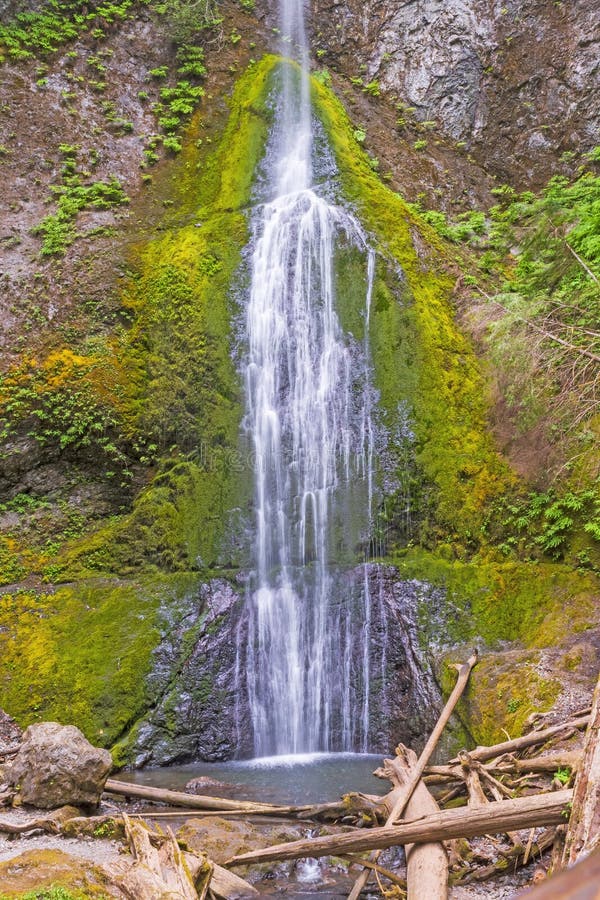 Hidden Waterfall in the Temperate Rainforest Stock Image - Image of ...