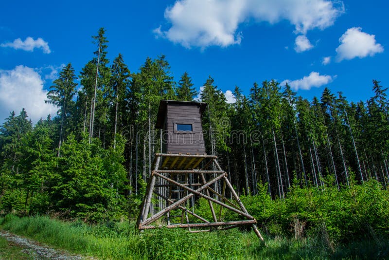 Hide in forest stock image. Image of hunter, scenic, blue - 72258277